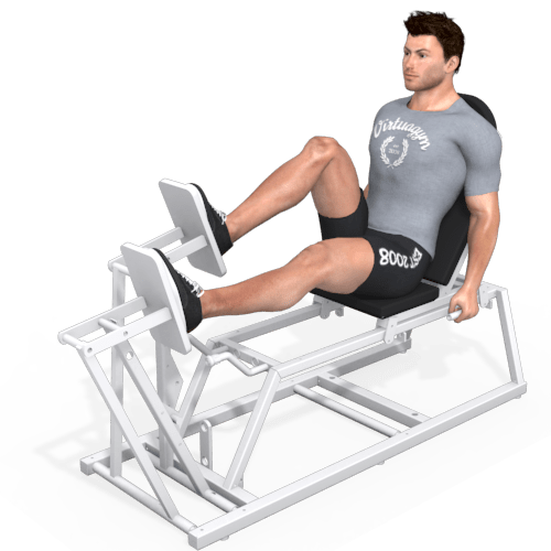 Leg Press (alternating) Video Exercise Guide