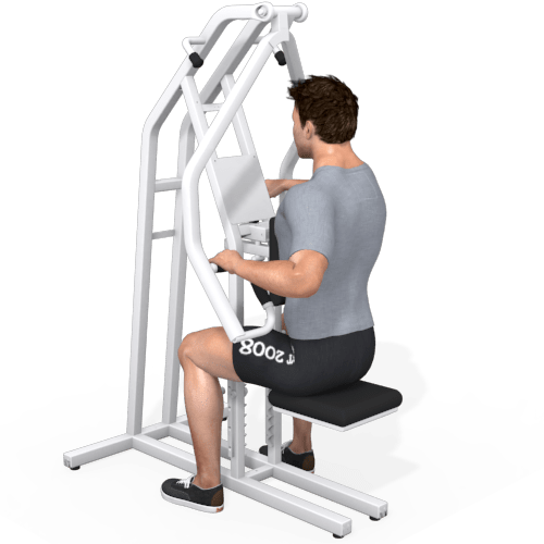 Upper Back 2 (alternating) Video Exercise Guide