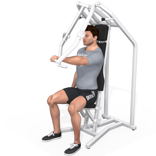 Chest Press Video Exercise Guide