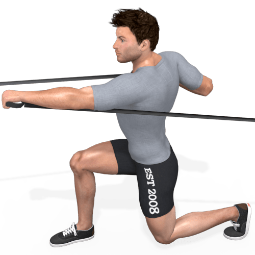 Pulley Push Pull Kneeling Video Exercise Guide