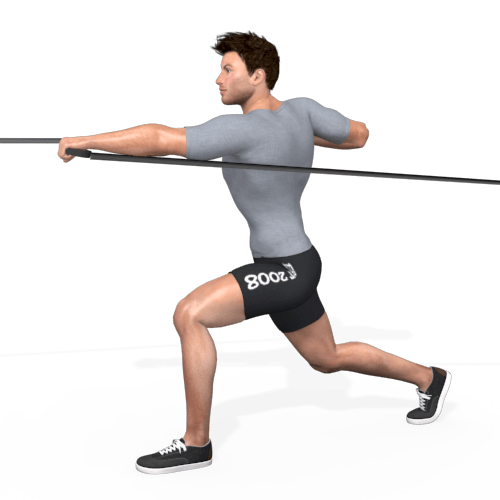 Pulley Push Pull Lunge Position Video Exercise Guide