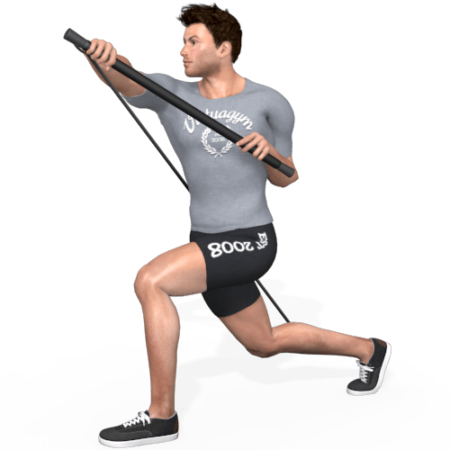 Pulley Rotation Lunge Position Video Exercise Guide