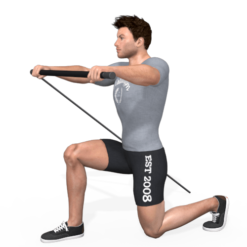 Pulley Kneeling Pull Push Rotation Open Video Exercise Guide