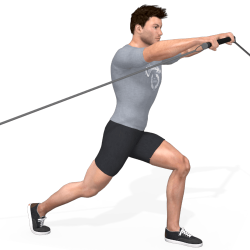 Pulley Pull Push Lunge Position Video Exercise Guide