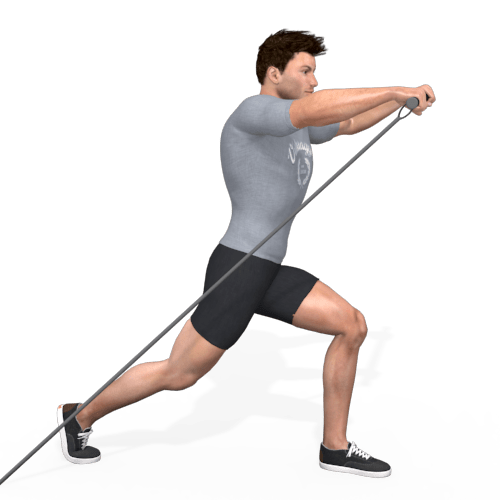 Pulley Pull Push Rotation Lunge Position Video Exercise Guide