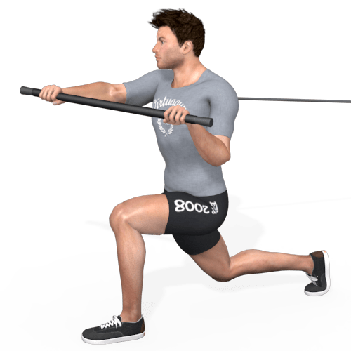 Pulley Lunge Pull Push Rotation Video Exercise Guide