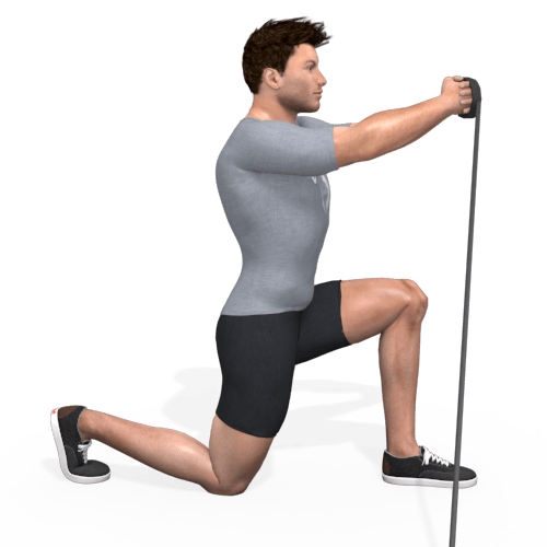 Pulley Pallof Pull/push Kneeling Position Open Video Exercise Guide