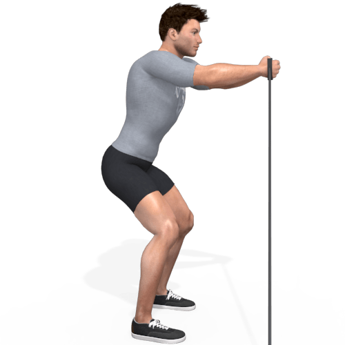 Pulley Pallof Pull/push Squat Stance Video Exercise Guide