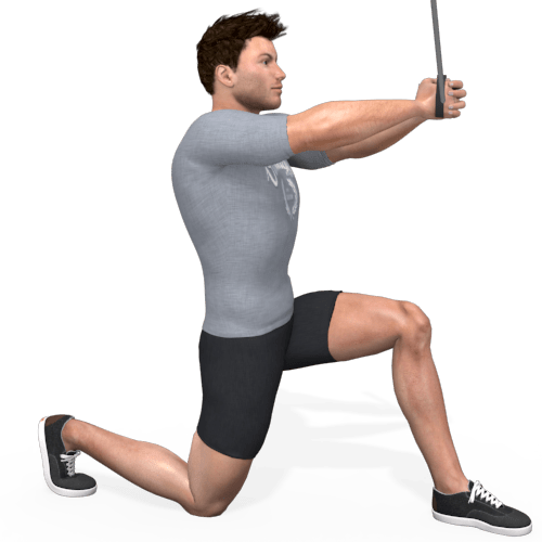 Pulley Pallof Pull/push Kneeling Stance Open Video Exercise Guide