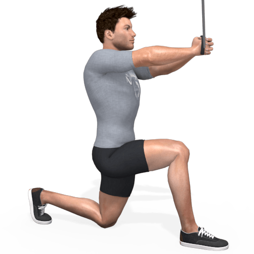 Pulley Pallof Pull/push Kneeling Stance Closed Video Exercise Guide