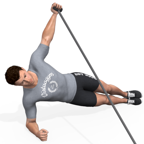 Pulley Side Plank Pull/push Video Exercise Guide