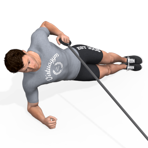 Pulley Side Plank Row Video Exercise Guide