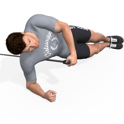 Pulley Side Plank Rotation Video Exercise Guide