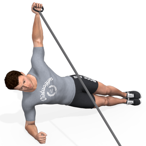 Pulley Side Plank Back Fly Video Exercise Guide