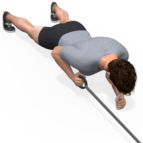 Pulley Plank Row Reverse Lat Pulldown Video Exercise Guide