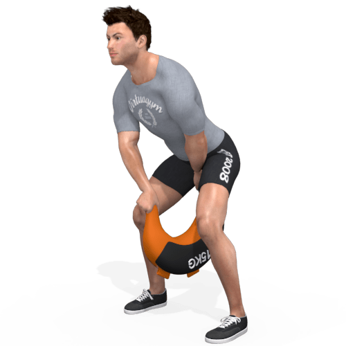 Bulgarian Bag Vertical Swing (alternating) Video Exercise Guide