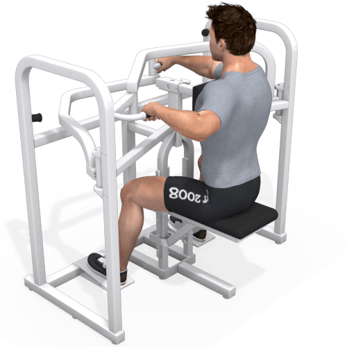 Upper Back (alternating) Video Exercise Guide