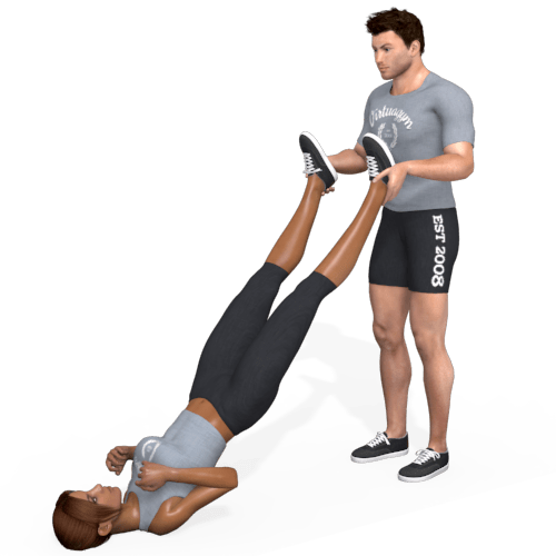 Back Plank And Bicep Curl Video Exercise Guide