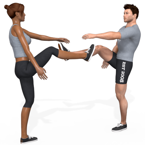 Reverse Lunge To Standing Leg Raise (alternating) Video Exercise Guide