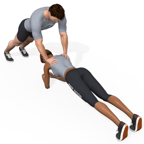 Plank And Push-up Video Exercise Guide