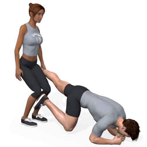 Plank Mountain Climber Video Exercise Guide