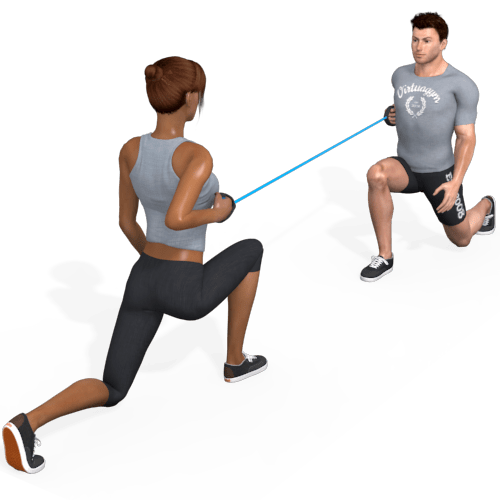 Elastics Reverse Lunge And Row Video Exercise Guide