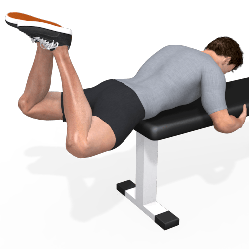 Bench Frog Reverse Hyper Video Exercise Guide