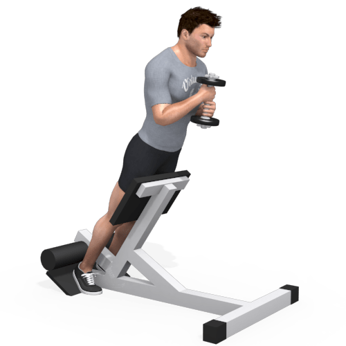 Dumbbells Hyperextension Low Video Exercise Guide