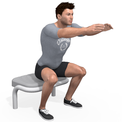 Aerobic Step Box Squat Video Exercise Guide