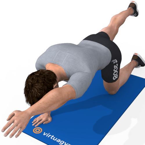 Bird Dog Cross (alternating) Video Exercise Guide