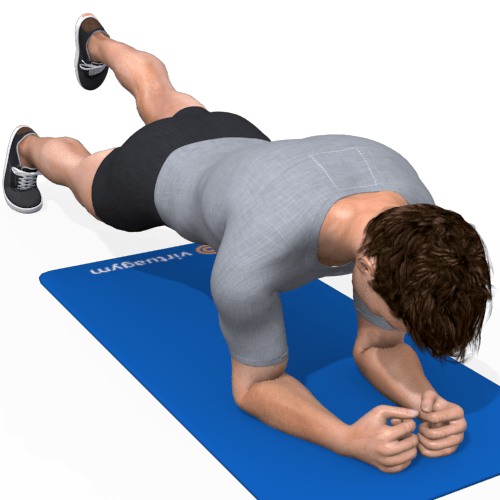Plank Leg Raise (alternating) Video Exercise Guide