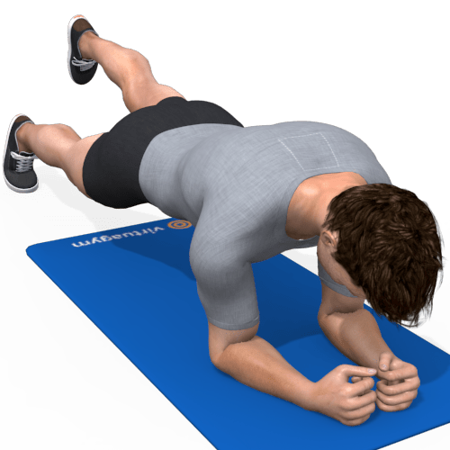 Plank Leg Raise Static Video Exercise Guide
