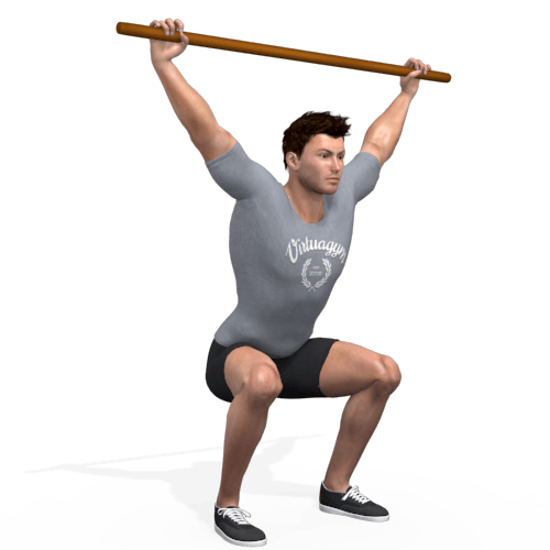 Stick Overhead Squat Video Exercise Guide