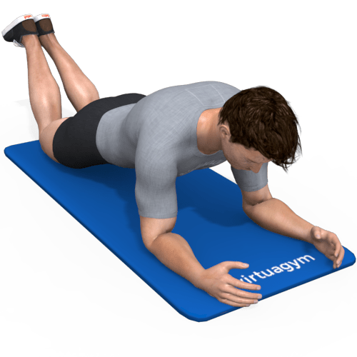 Plank Knees Static Video Exercise Guide