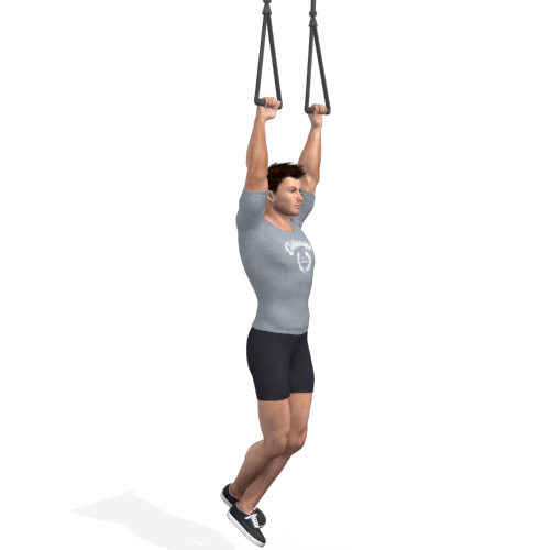 Suspension Trainer Scapula Pull Up Video Exercise Guide