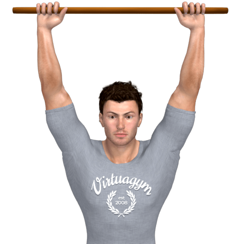 Stick Press Video Exercise Guide