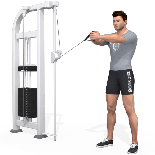 Pulley Pallof Press Video Exercise Guide
