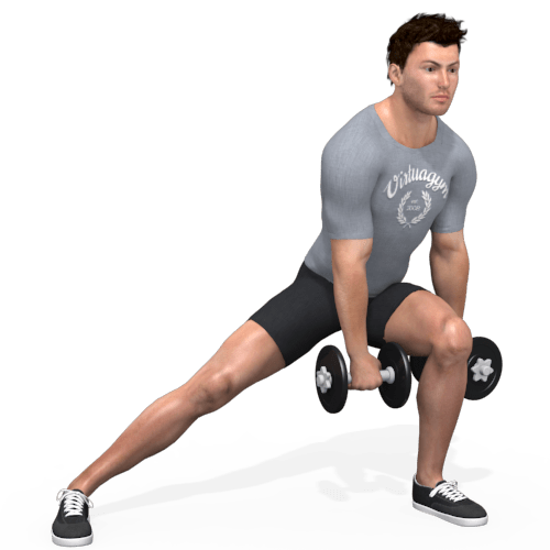Dumbbells Lateral Lunge Alternating Video Exercise Guide