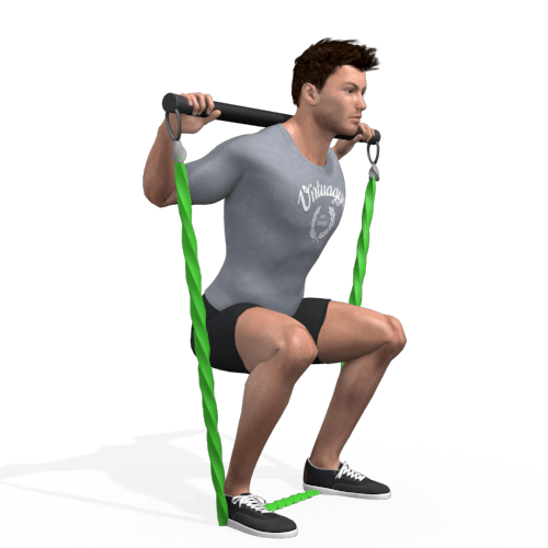 Gymstick Squat Video Exercise Guide