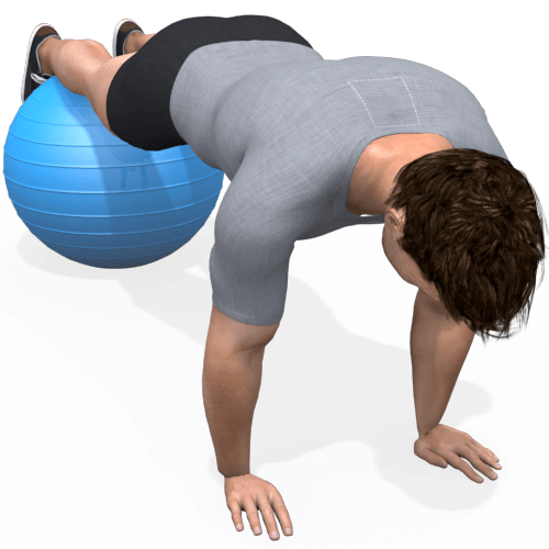 Exercise Ball Push-up Shins On Video Exercise Guide