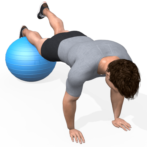 Exercise Ball Push-up Shin On Video Exercise Guide