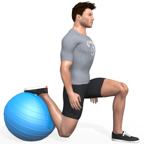 Exercise Ball Bulgarian Split Squat Video Exercise Guide