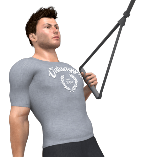 Suspension Trainer Back Row (alternating) Video Exercise Guide