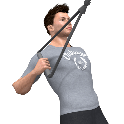 Suspension Trainer Back Row Video Exercise Guide