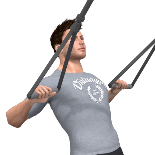 Suspension Trainer Wide Back Row Video Exercise Guide