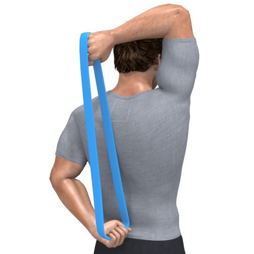 Resistance Band Triceps Extension Video Exercise Guide