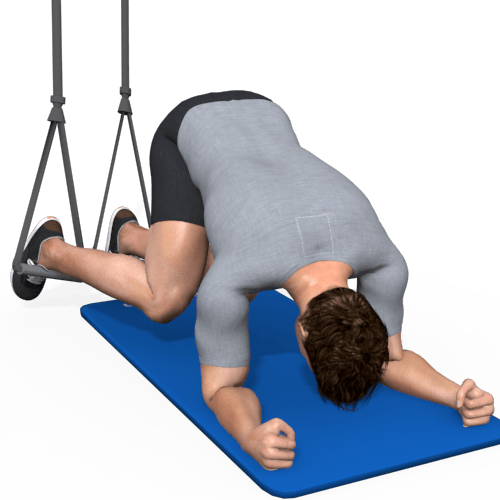 Suspension Trainer Side Crunch Low Video Exercise Guide