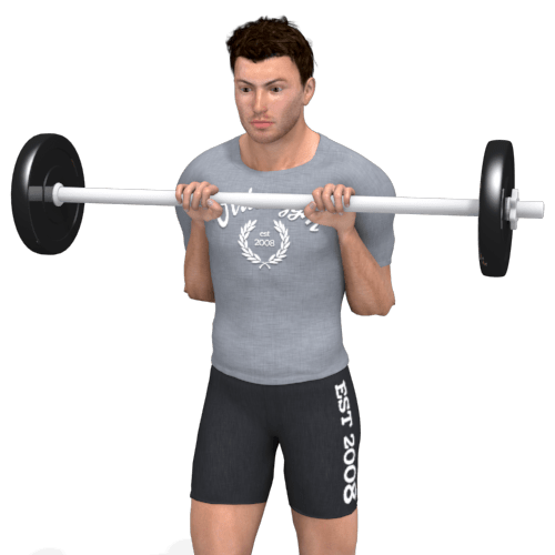 Barbell Reverse Curl Video Exercise Guide