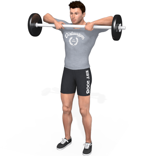Barbell Upright Row Video Exercise Guide