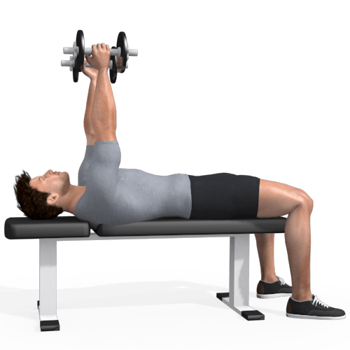 Dumbbells Bench Press Pronated / Neutral Video Exercise Guide
